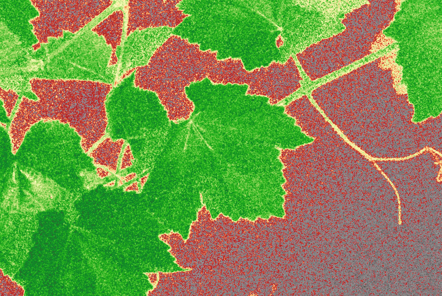 Survey3W Camera - Red+Green+NIR (RGN, NDVI) - MAPIR CAMERA